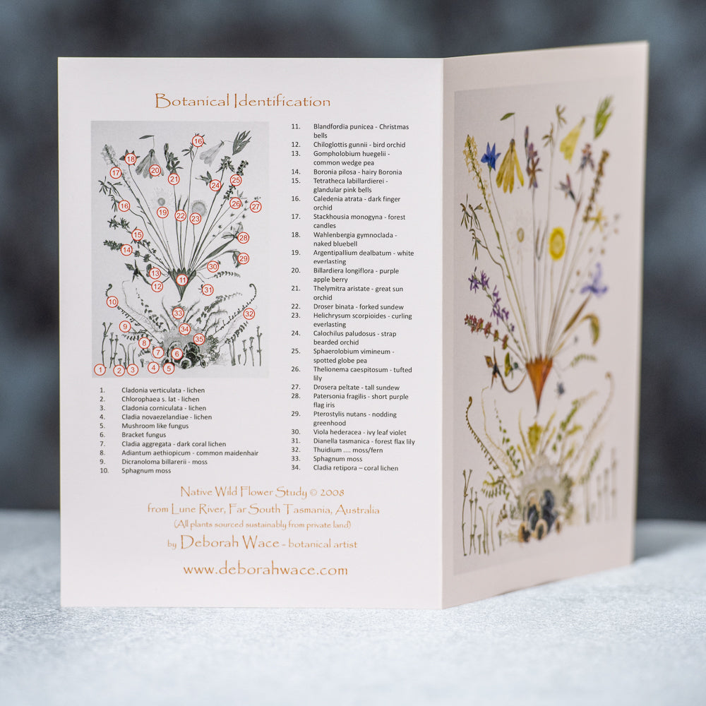 Deborah Wace Buttongrass B - Greeting card – Tasmanian Gourmet Online