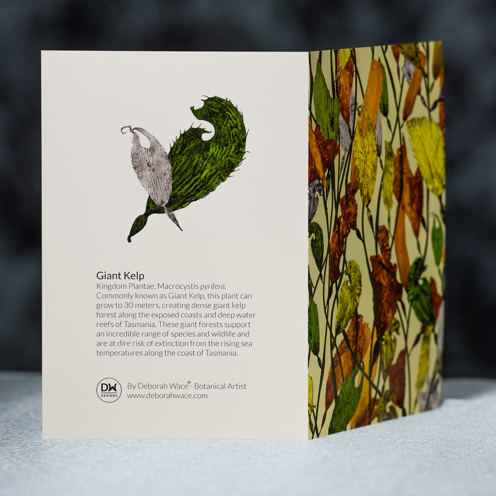 Deborah Wace Giant Kelp - Greeting Card – Tasmanian Gourmet Online